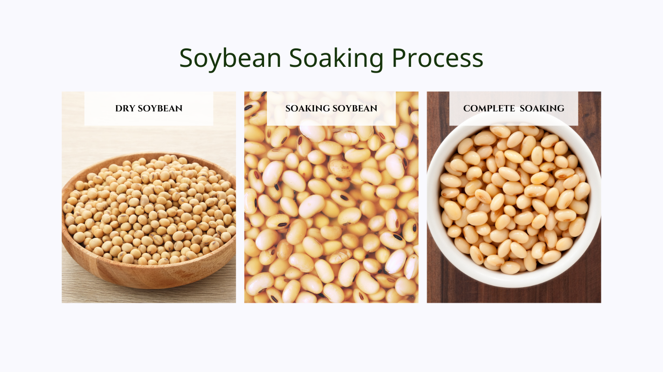Soybean Soaking & Washing Machine | Discover the Health and ...